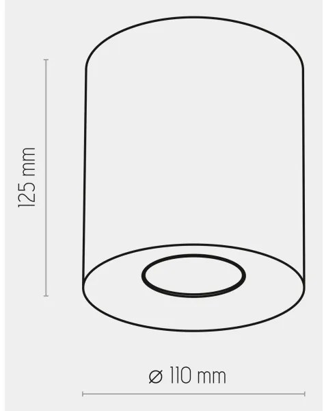 Bodové svítidlo ORION 1xGU10/10W/230V bílá