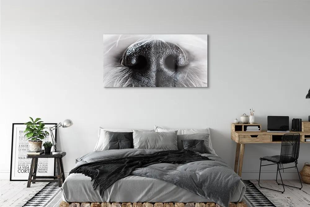 akrylový obraz psí čumák 125x50 cm