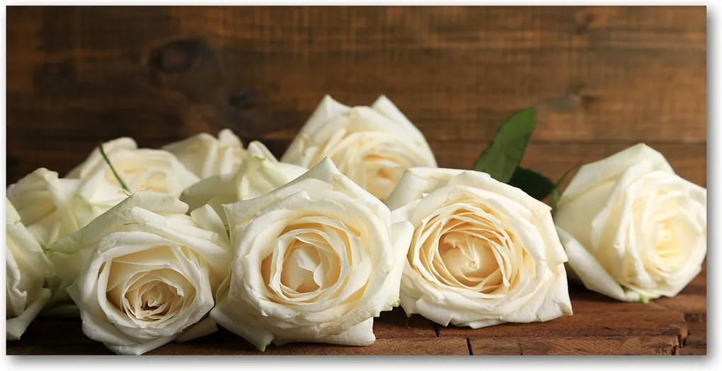 Foto obraz sklo tvrzené Bílé růže