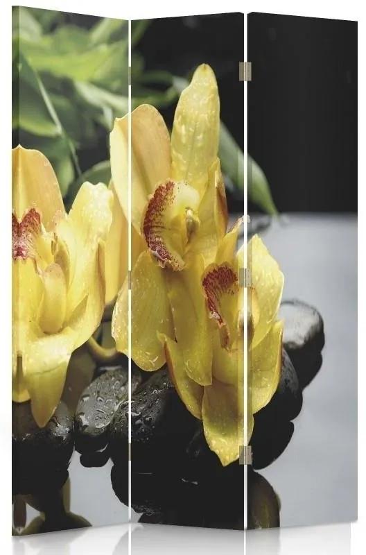 Ozdobný paraván, Žlutá orchidej - 110x170 cm, třídílný, obustranný paraván 360°