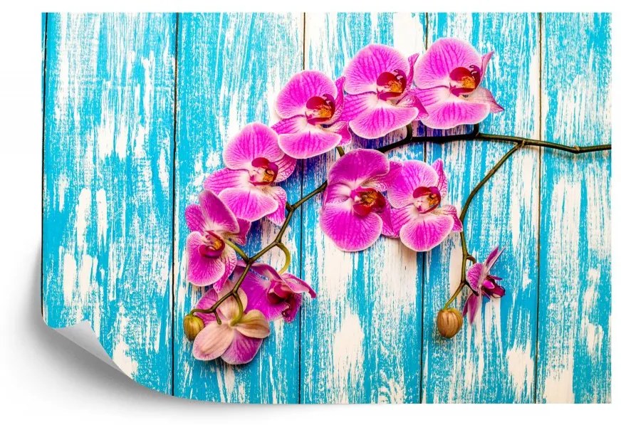 Fototapeta Orchideje Na Pozadí Desek Strukturální vinyl 400x280