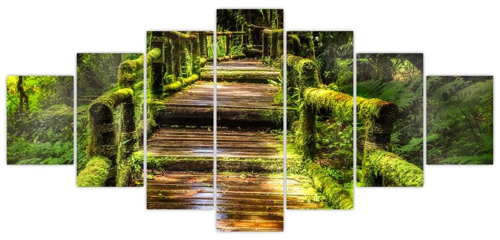 Obraz schodů v deštném pralese (210x100 cm)