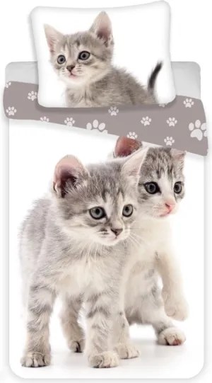 Jerry Fabrics Povlečení fototisk Kitten grey 140x200, 70x90 cm