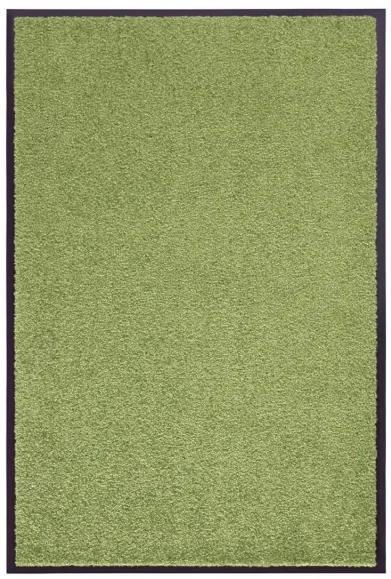 Bytová rohož Hanse Home Wash & Clean 101470 Green 40x60 cm