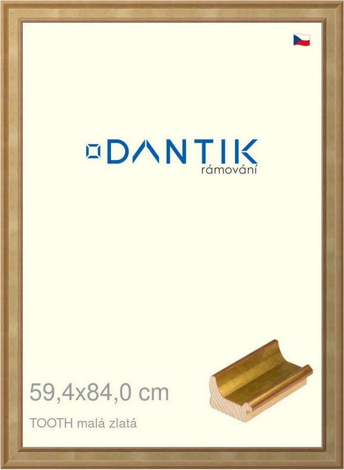 DANTIK rámeček 59,4x84 | TOOTH malá zlatá (Plexi Čiré)