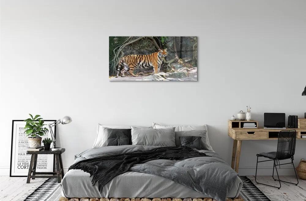 Obraz na skle tygr džungle 120x60 cm