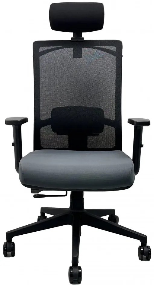 Office Pro Kancelářská ergonomická židle DVIS — více barev Modrá