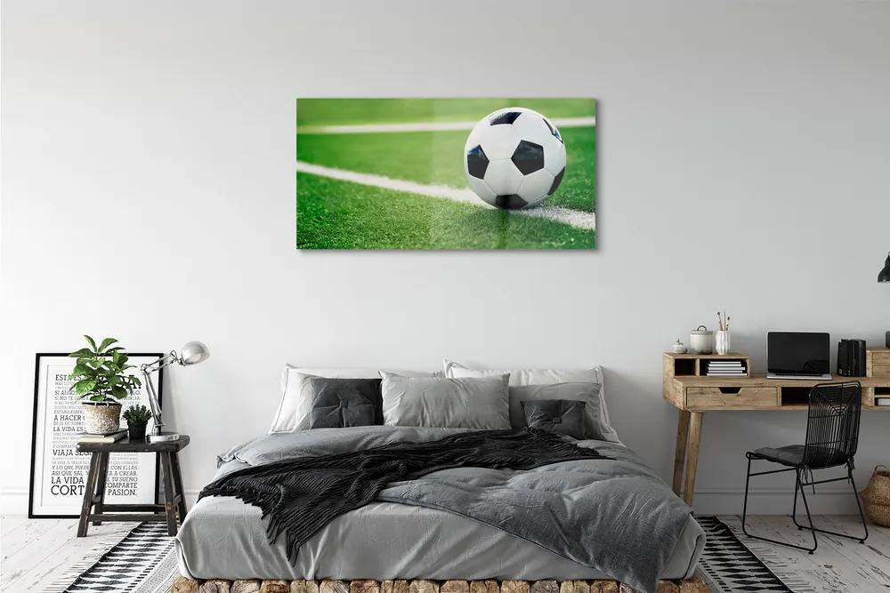 akrylový obraz fotbalový trávník 125x50 cm