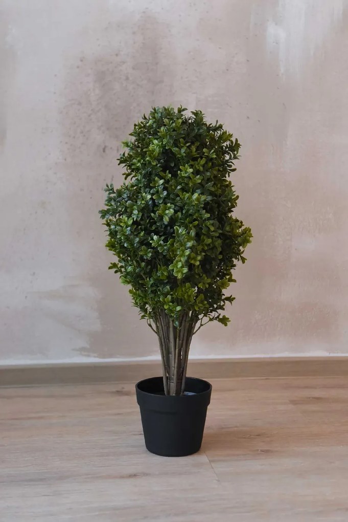Umělý buxus BUXA, plast, výška 70 cm, zelený