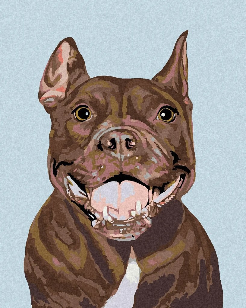 zuty malování podle čísel - pitbull, 80x100 cm, bez rámu a bez vypnutí plátna