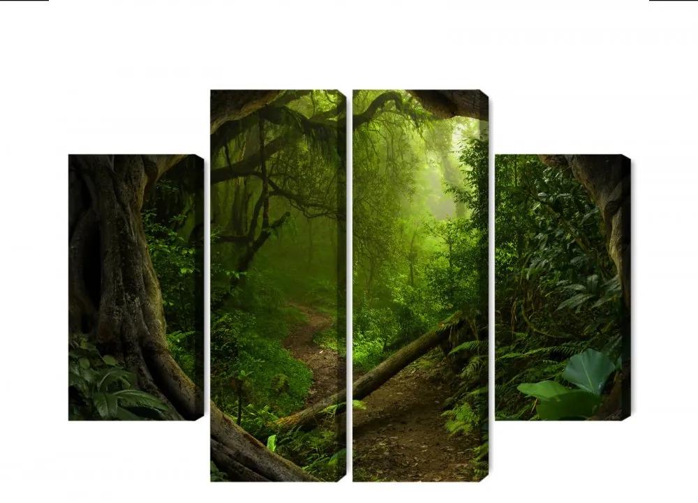 Vícedílný obraz Cesta V Tropickém Lese Nedostatek Nedostatek Přírodní plátno 160x120