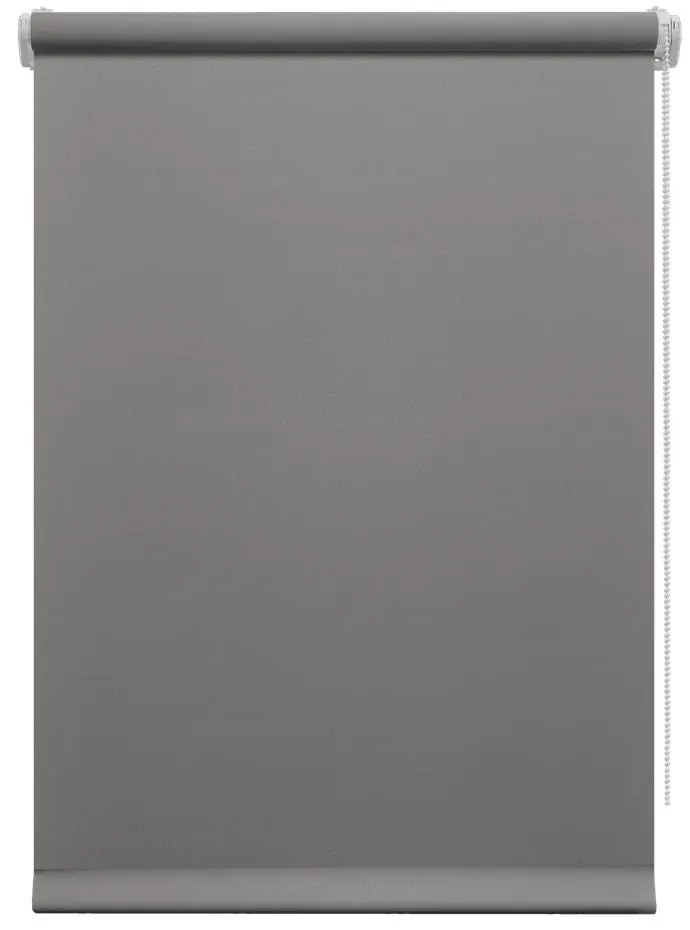 Tmavě šedá roleta 72,5x150 cm Mini Relax – Gardinia