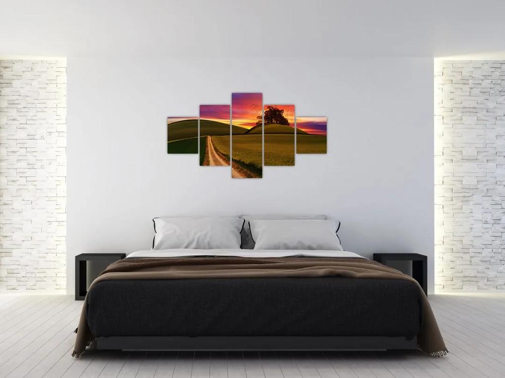 Obraz pole a barevného nebe (125x70 cm)