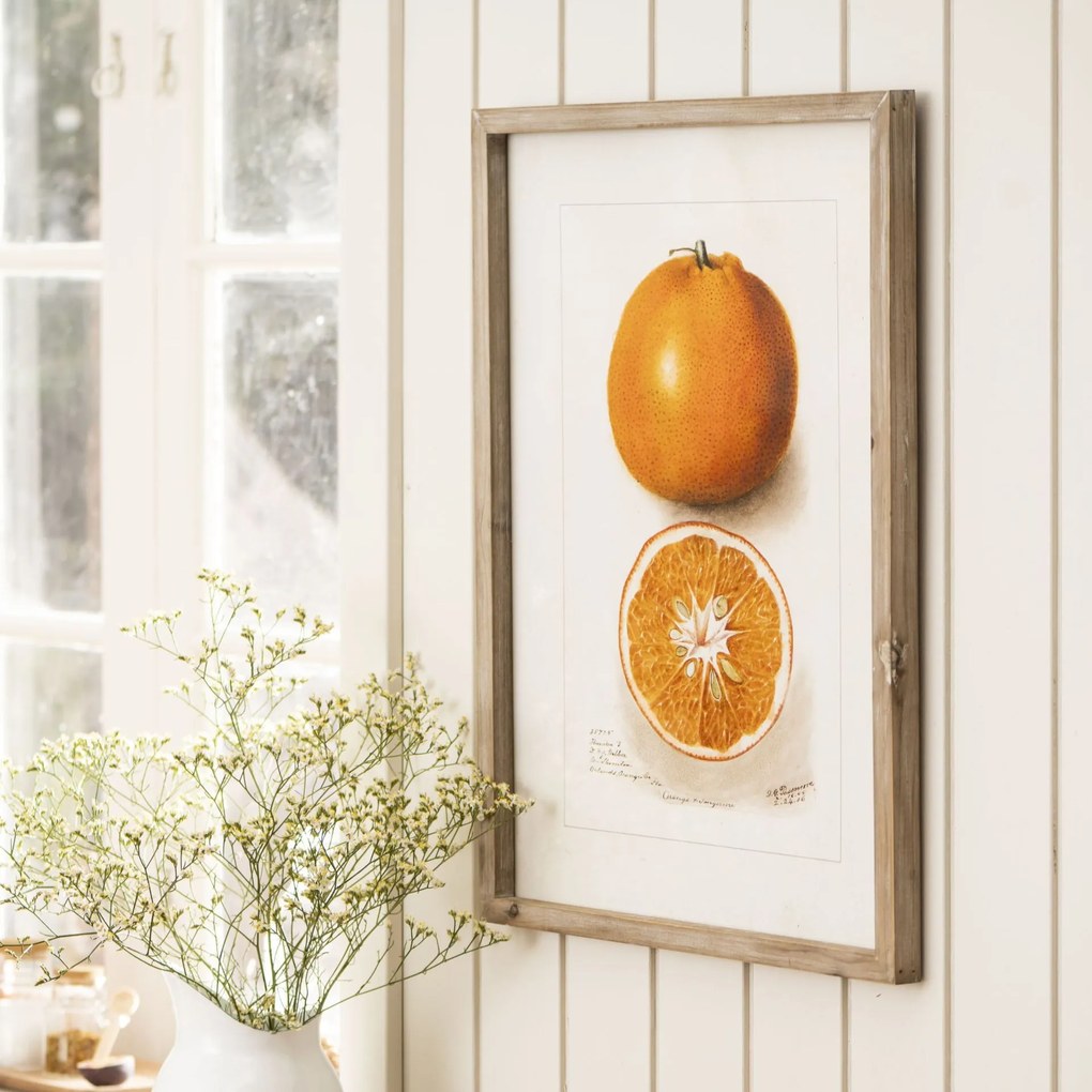 IB LAURSEN Obraz v rámu Citrus Fruits 45 x 60 cm Citron, žlutá barva, oranžová barva, přírodní barva, sklo, dřevo, papír