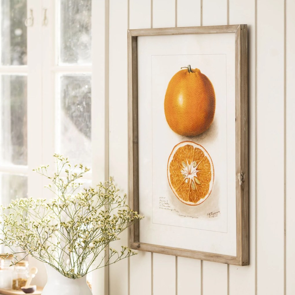 IB LAURSEN Obraz v rámu Citrus Fruits 45 x 60 cm Pomeranč, žlutá barva, oranžová barva, přírodní barva, sklo, dřevo, papír