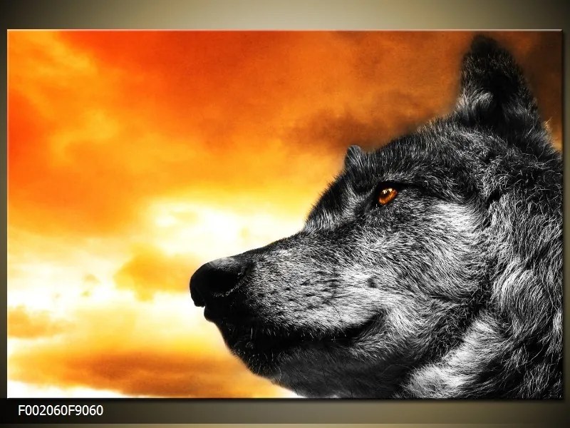 Obraz na plátně Šedý pes, Obdélník 90x60cm 1520 Kč