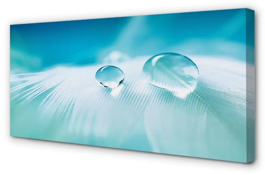 Obrazy na plátně Vodní kapky makro 100x50cm