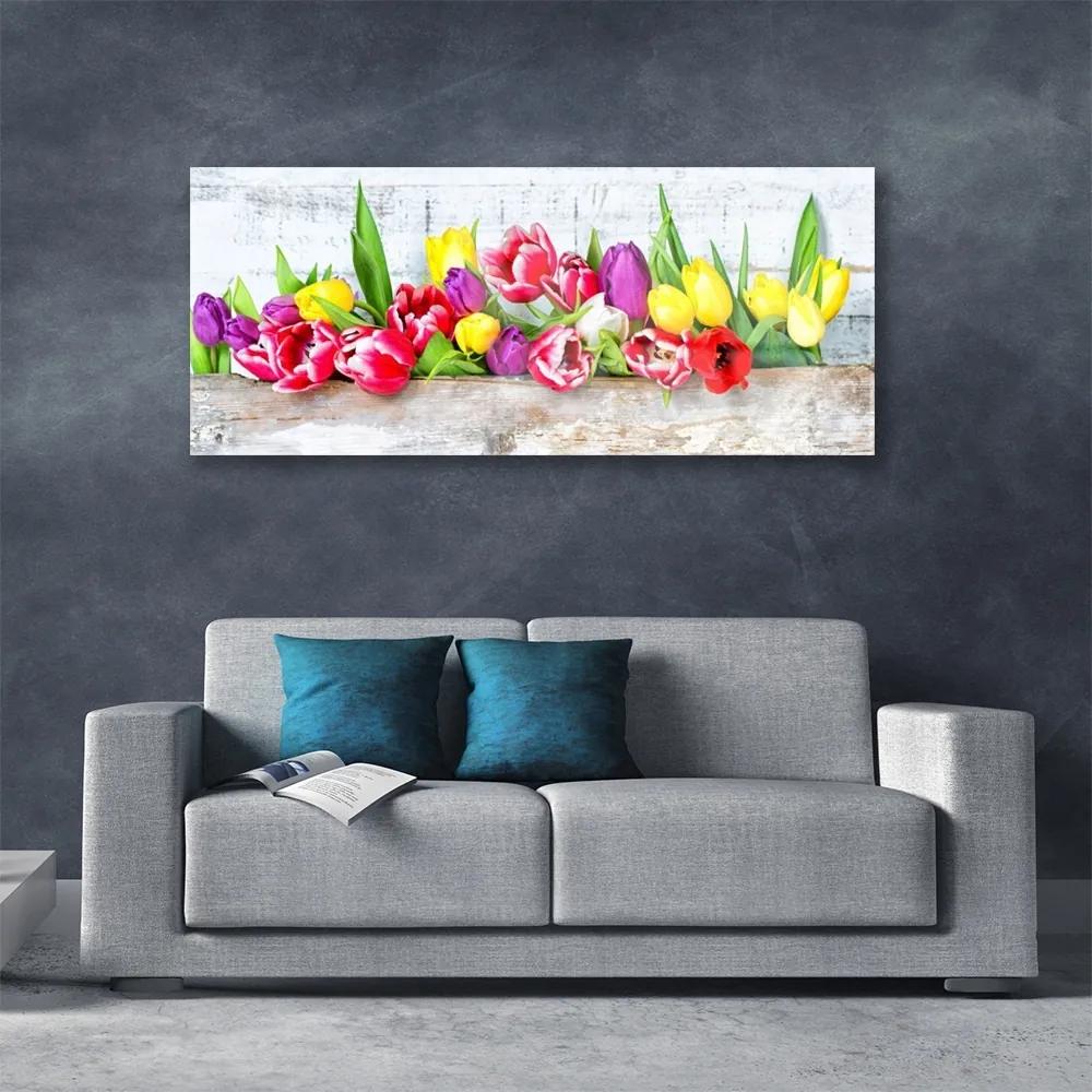 Plexisklo-obraz Tulipány Květiny Příroda 125x50 cm