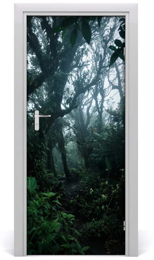 Fototapeta na dveře samolepící deštný les 75x205 cm