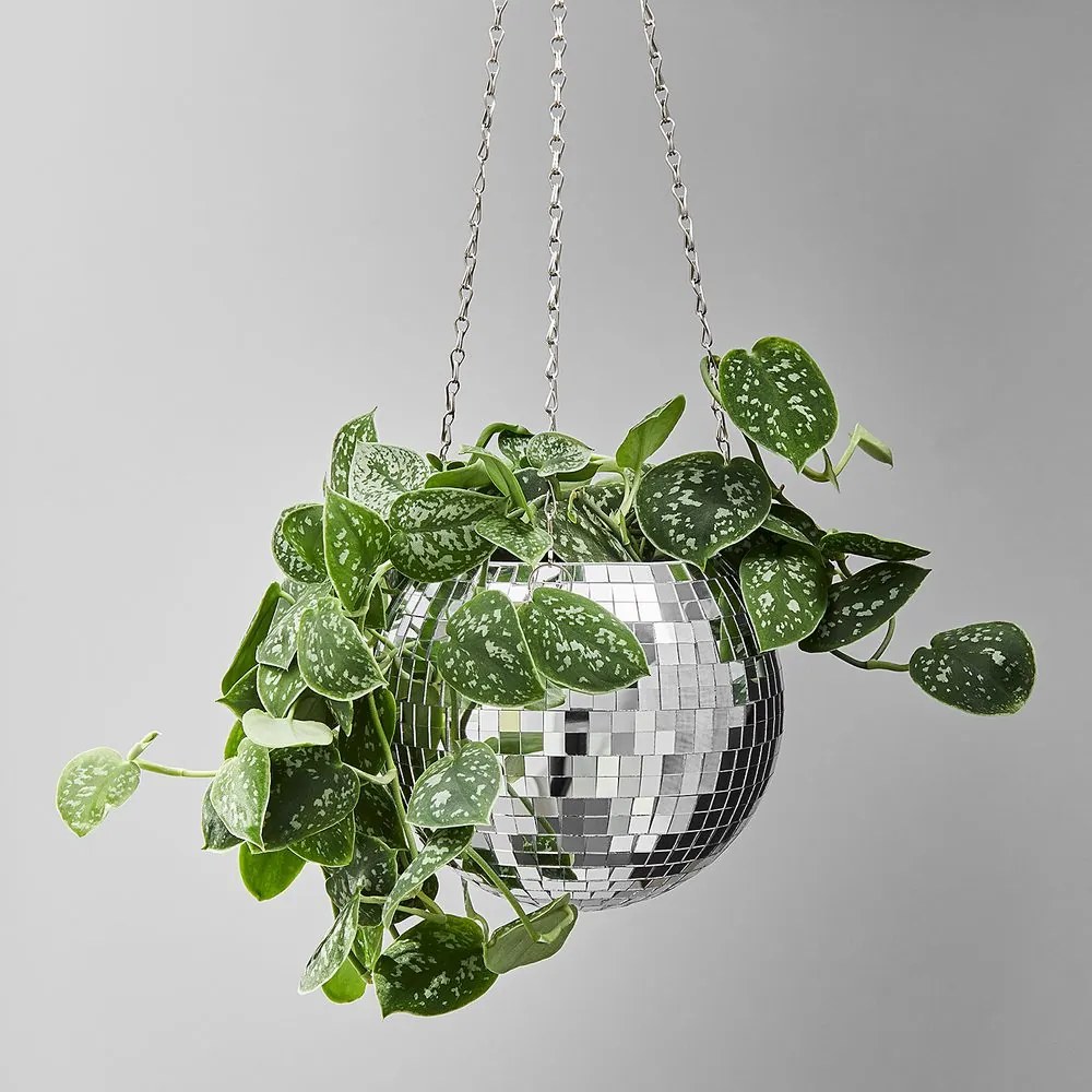 DISCO Závěsný květináč 15 cm