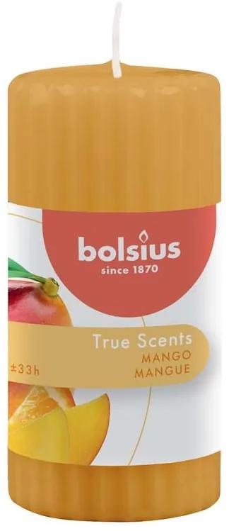 Bolsius Aromatic 2.0 Válec rýhovaný 60x120mm Mango, vonná svíčka