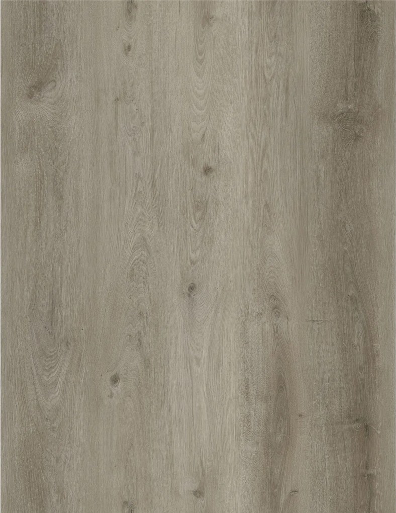 Decoflooring Vinylová podlaha SPC+IXPE, dub Trend, 180 x 1220 x 3,5+1,0 mm