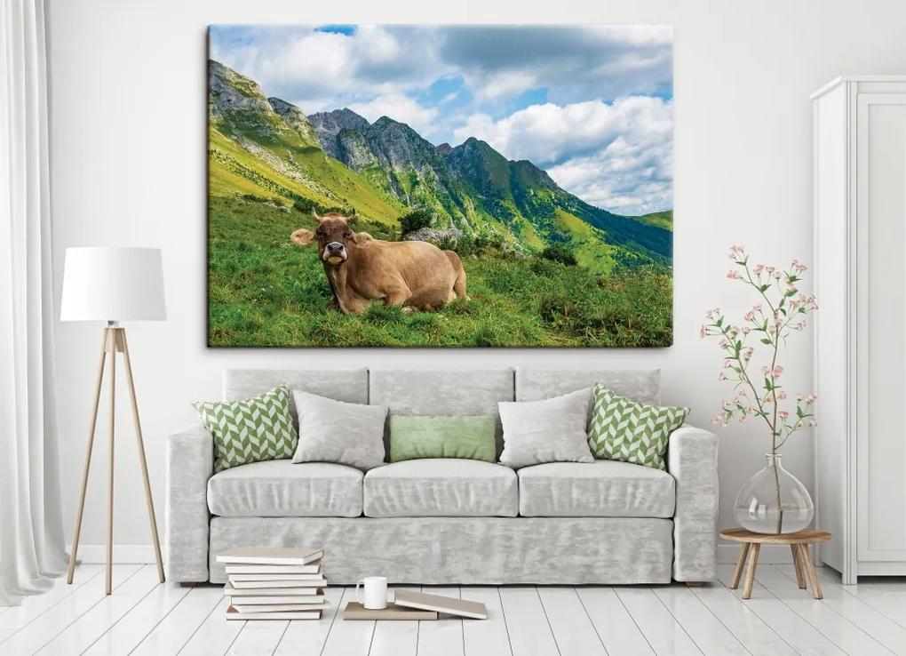 Malvis ® Obraz Alpská kráva Velikost: 150x100 cm