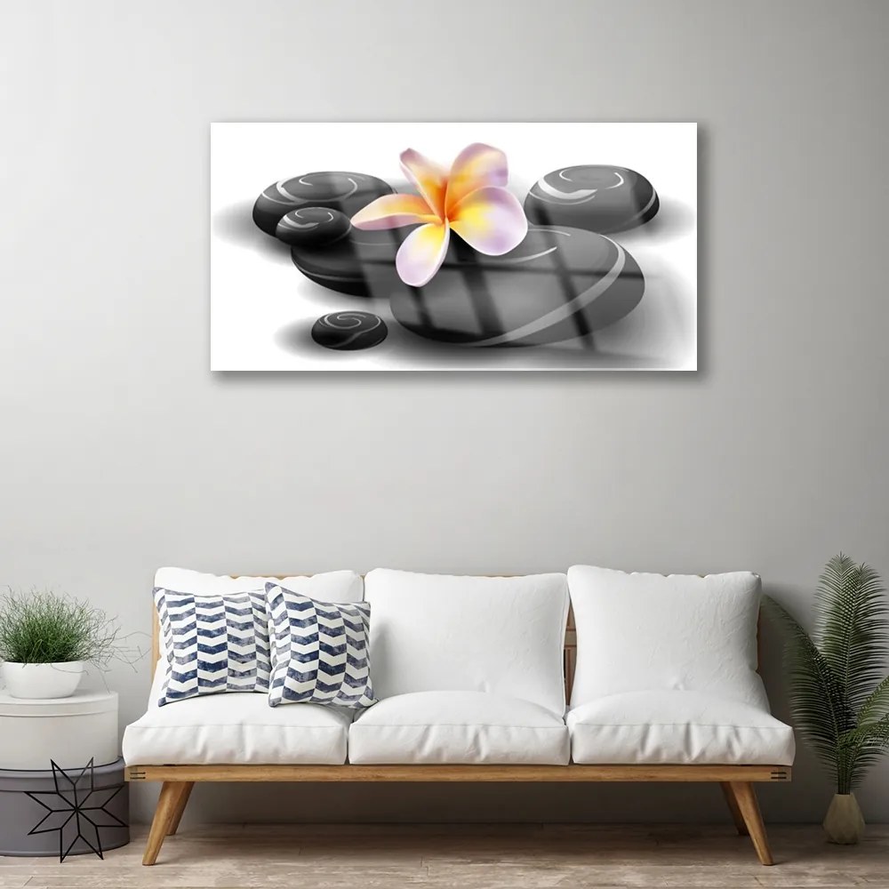 Obraz na skle Květiny Kameny Příroda 125x50 cm