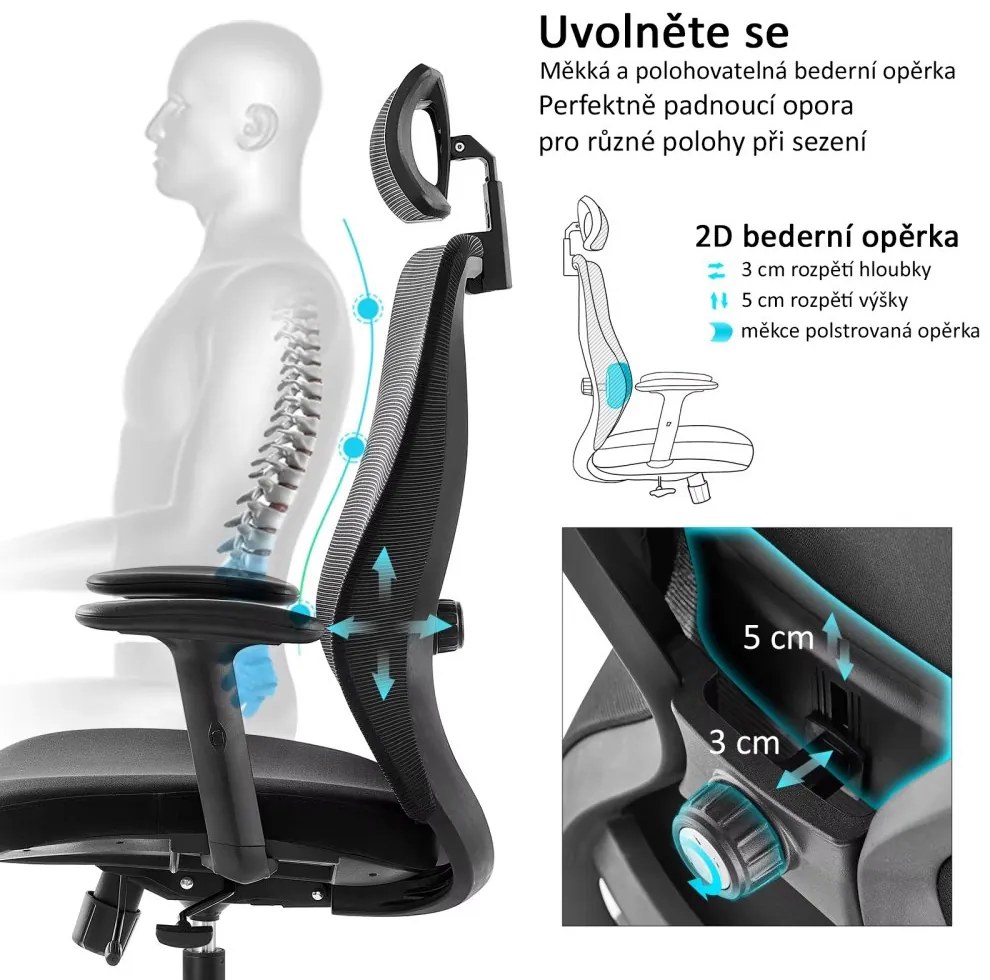 Ergonomická kancelářská židle ERGODO CORVIA - černá síťovina / nosnost 150 kg
