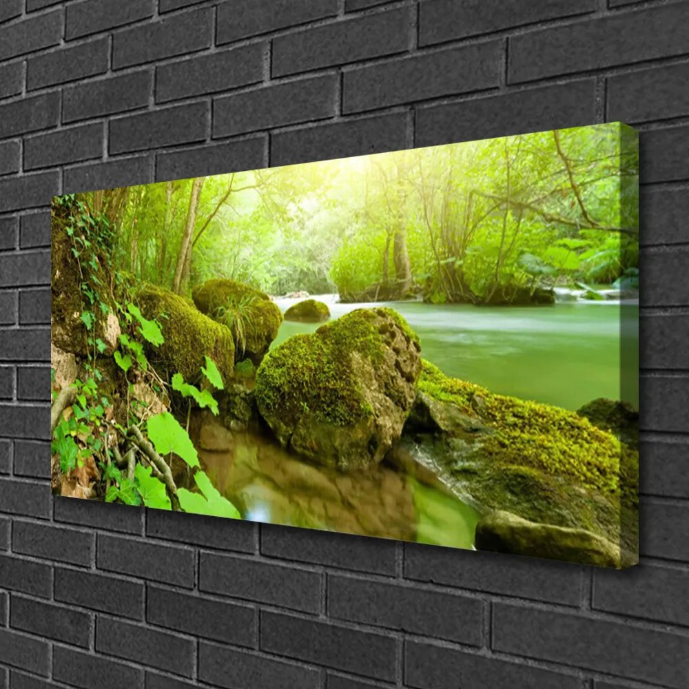 Obraz na plátně Jezero Kameny Příroda 100x50 cm