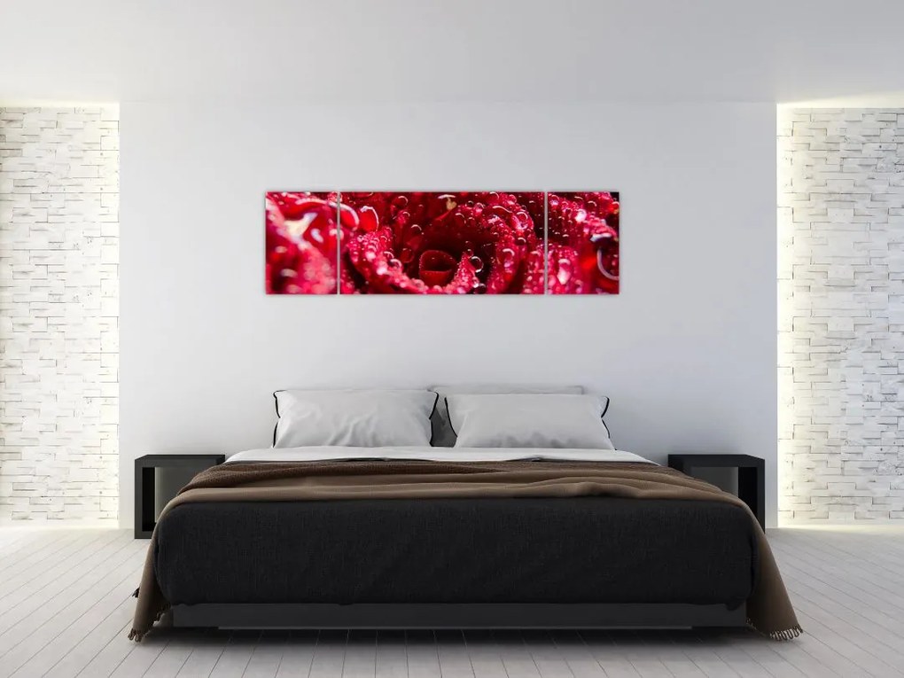 Obraz květu červené růže (170x50 cm)