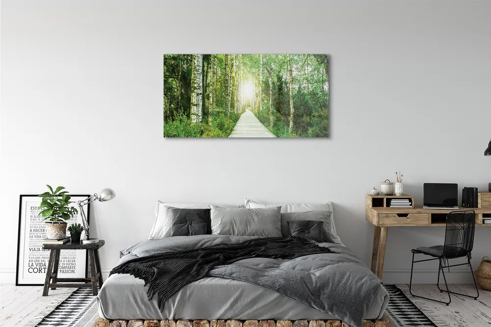 akrylový obraz Bříza lesní cesta 125x50 cm