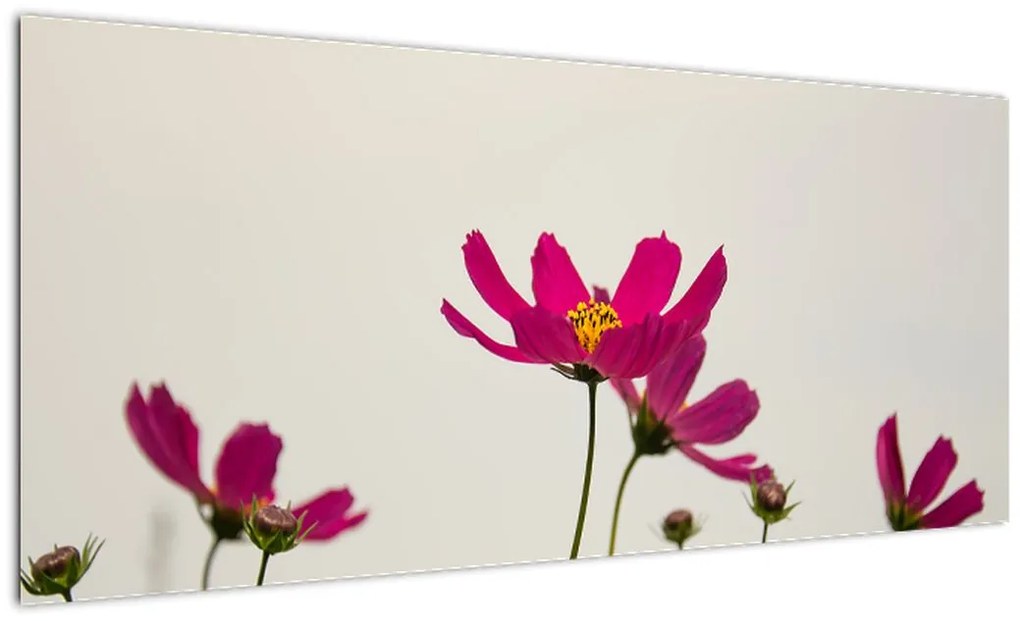 Obraz květin na stěnu (100x40cm)