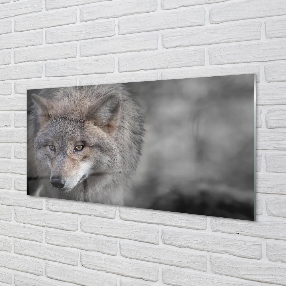 Skleněný panel Vlk 140x70 cm