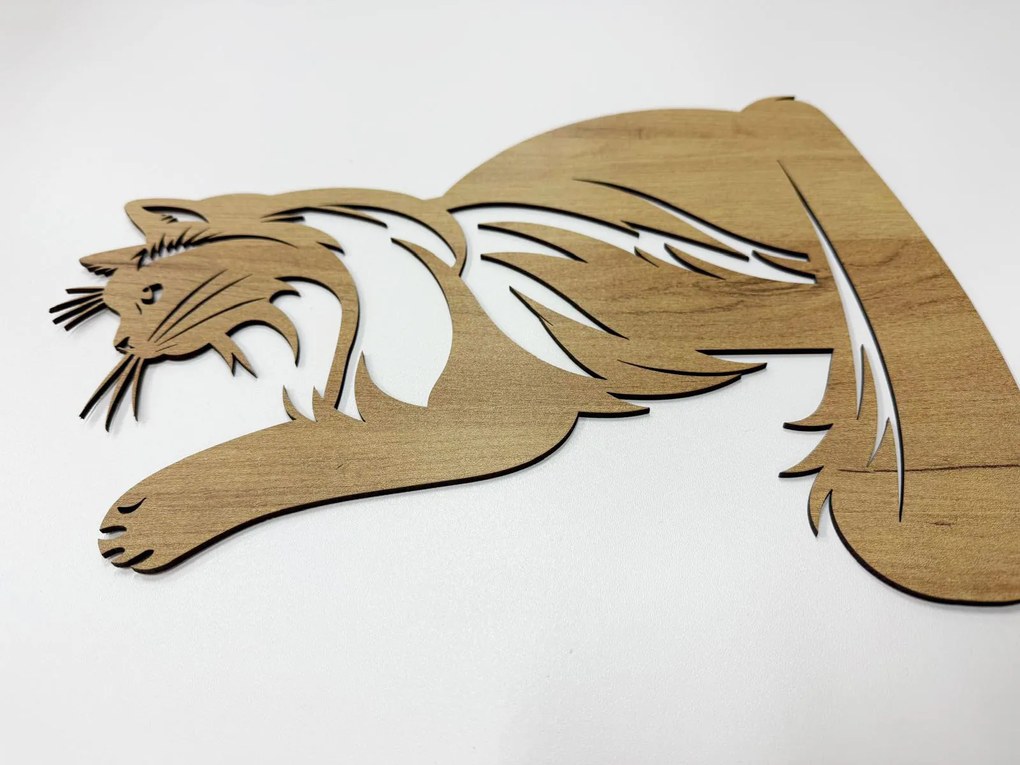 dřevo života Dřevěný obraz Ragdoll Zvolte rozměr (cm): 32x40, Zvolte barvu dekoru: Horský dub