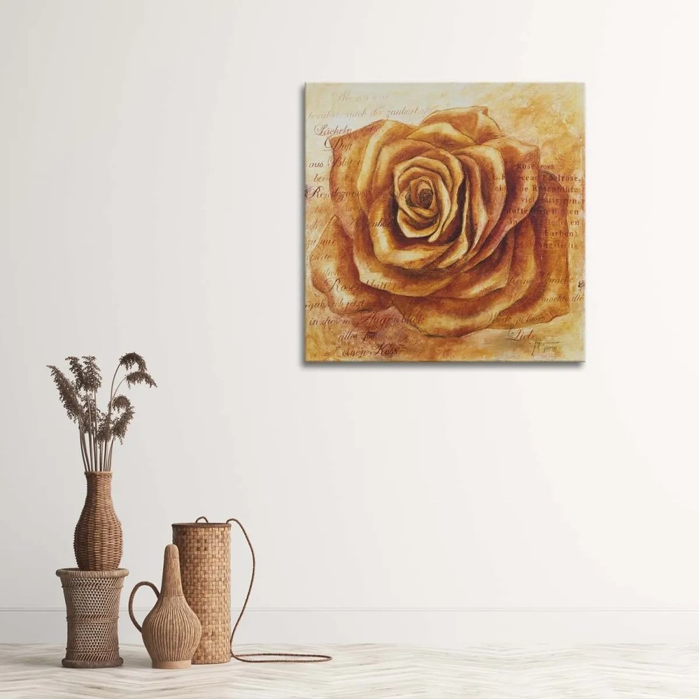 Obraz na plátně Rose Flower Orange - 50x50 cm