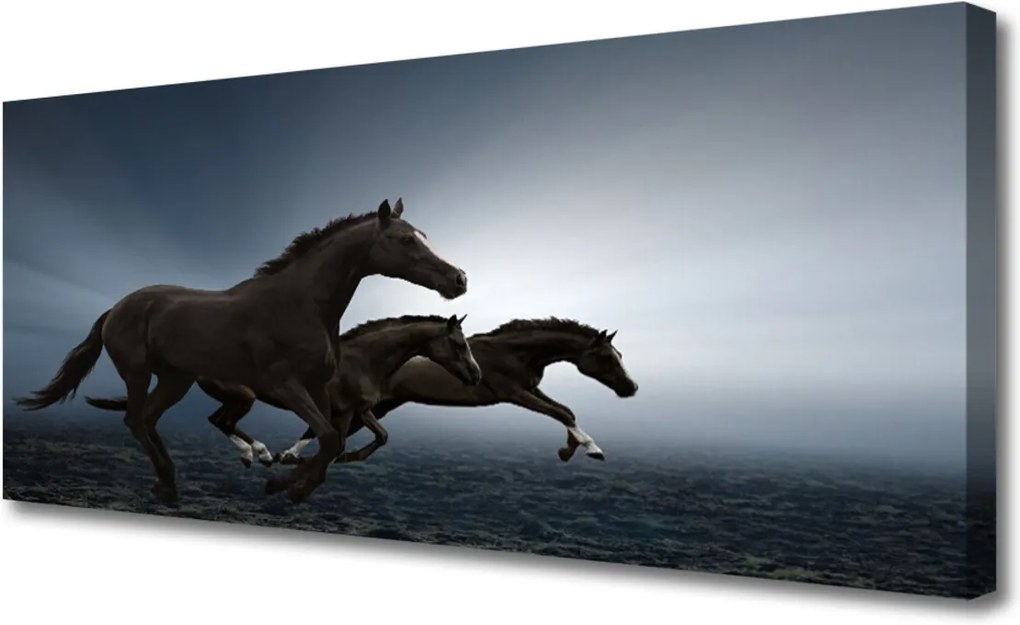 Obraz na plátně Skleněný Koně Zvířata