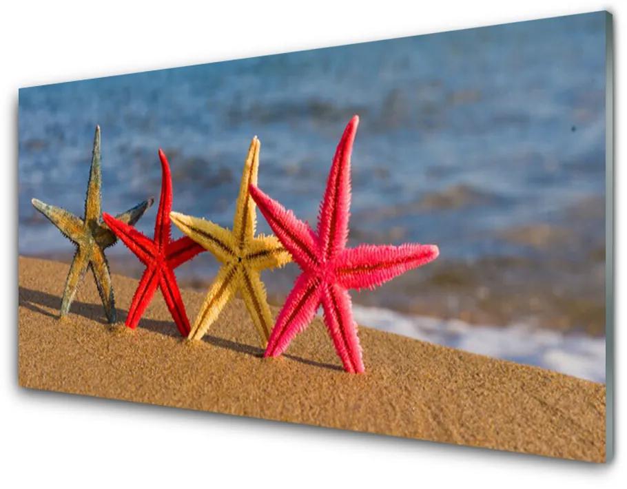 akrylový obraz Pláž Hvězdice Umění 100x50 cm