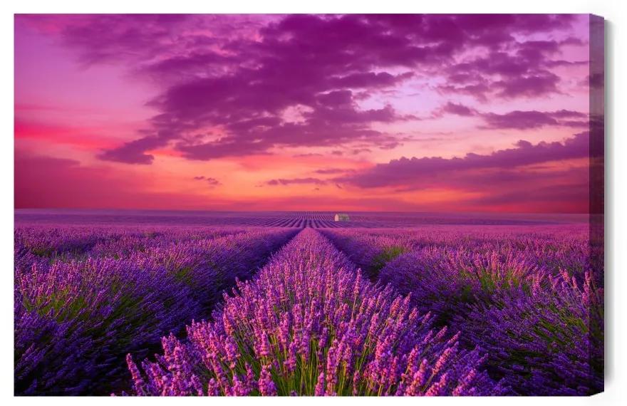 Obraz Levandulové Kvetoucí Pole V Provence Nedostatek Nedostatek Přírodní plátno 120x80