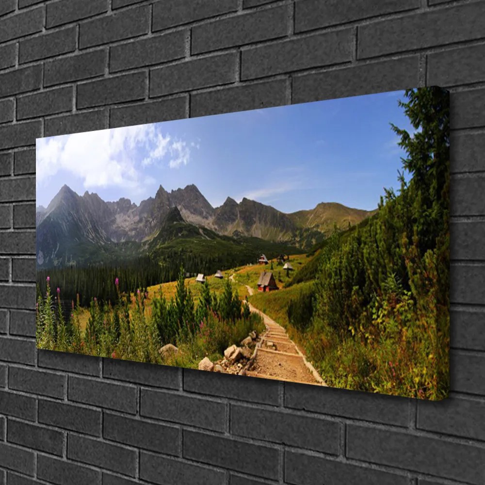 Obraz na plátně Hala Góry Droga Natura Łąka 100x50 cm