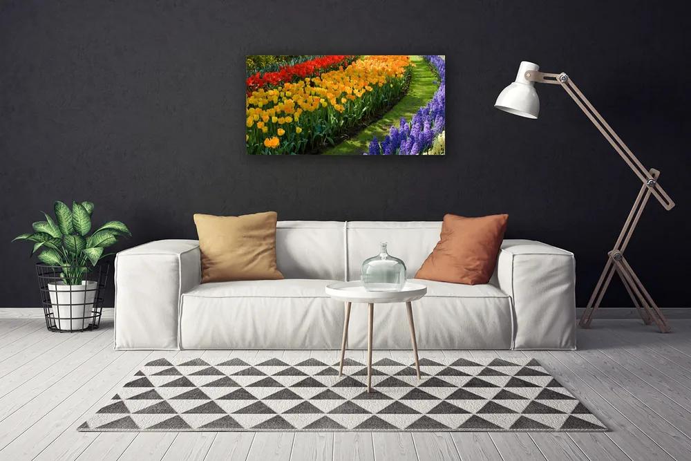 Obraz na plátně Květiny Zahrada Tulipány 140x70 cm