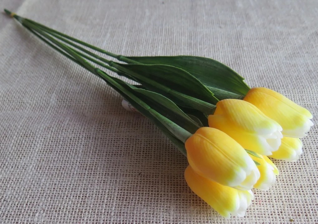 Tulipán žlutý 6ks v bal. 42cm, květ 5cm