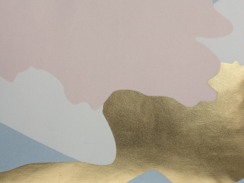 Sada 2 bavlněných polštářů abstraktní 45 x 45 cm růžová se zlatým IXIA Beliani