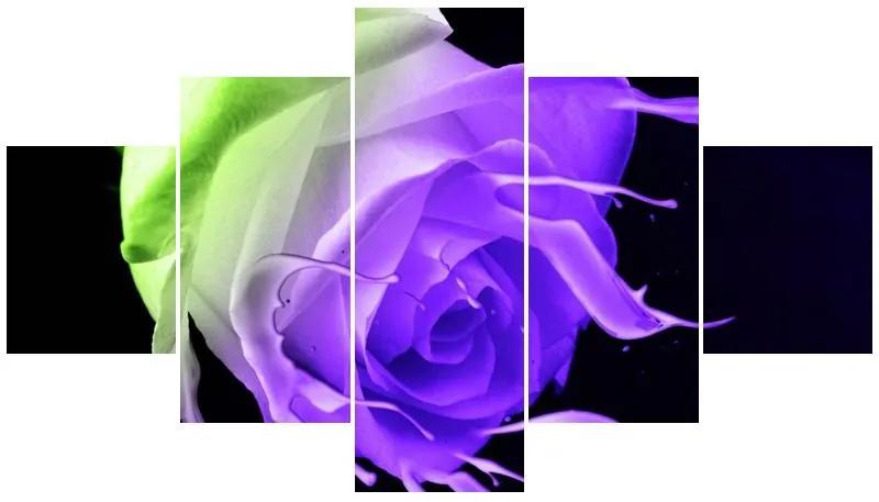 Moderní obraz pestrobarevné růže  (125x70 cm), 40 dalších rozměrů