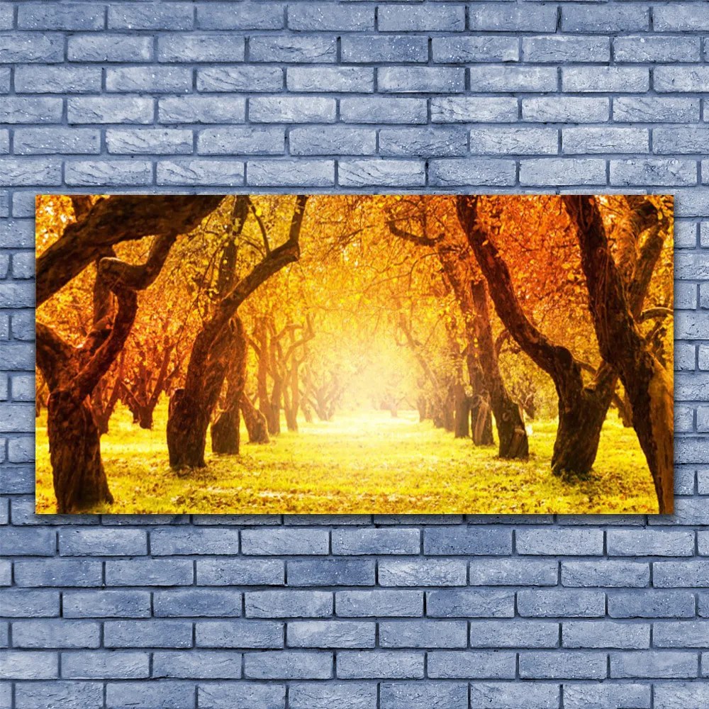 akrylový obraz Les Stezka Stromy Příroda 120x60 cm