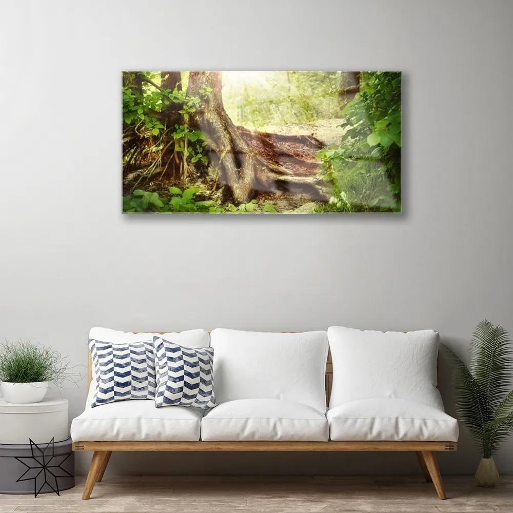 Obraz na skle Strom Kmen Příroda Les 125x50 cm