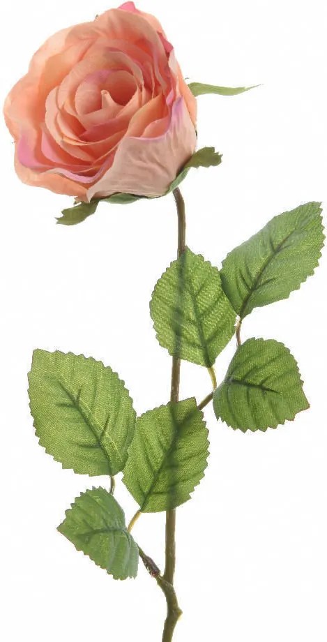 XXXLutz RŮŽE 45 cm - Umělé květiny - 003754999744