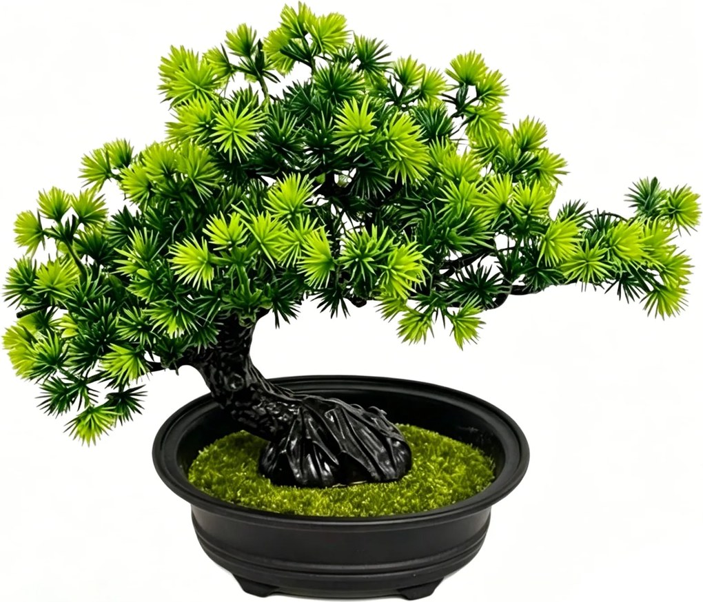 Sinsay - Dekorační rostlina bonsai v květináči - zelená