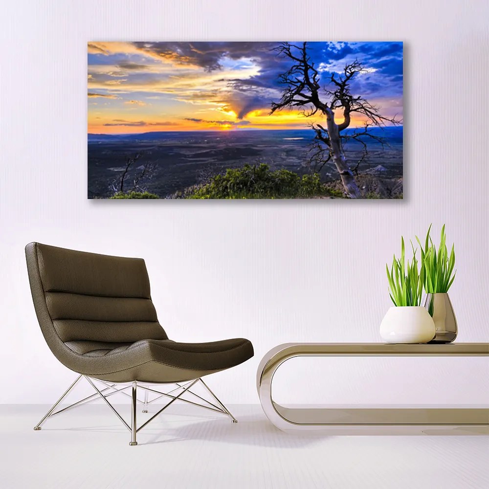 Plexisklo-obraz Strom Zápas Slunce 120x60 cm