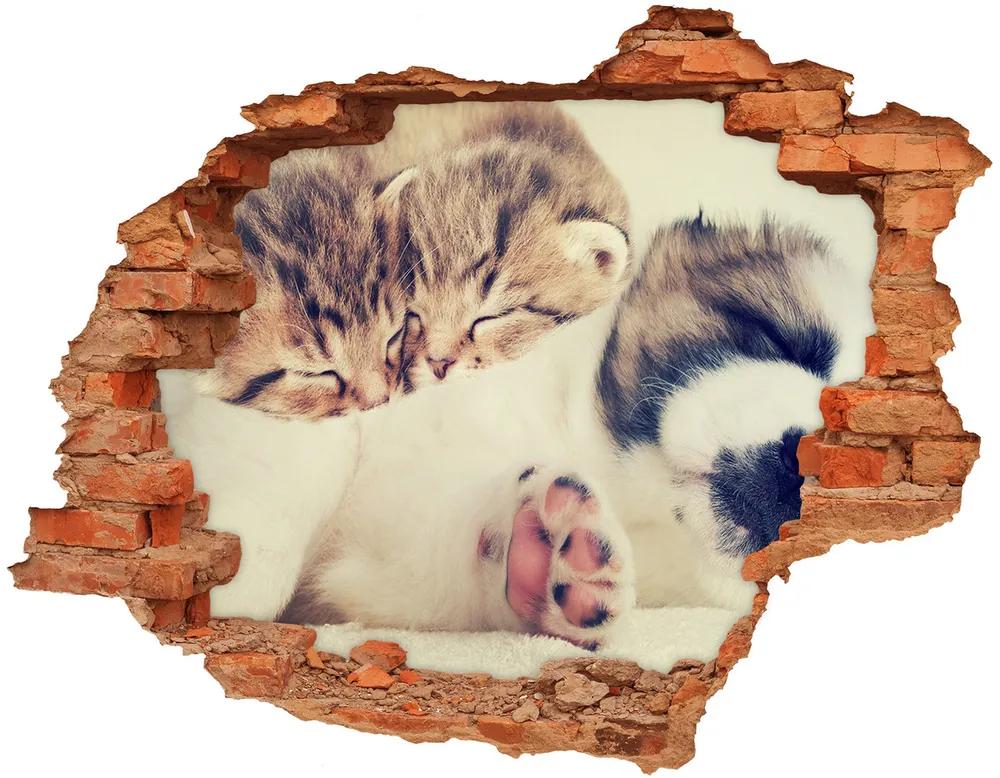 Wallmuralia Díra 3D fototapeta na stěnu Dvě kočky a pes 90x70 cm